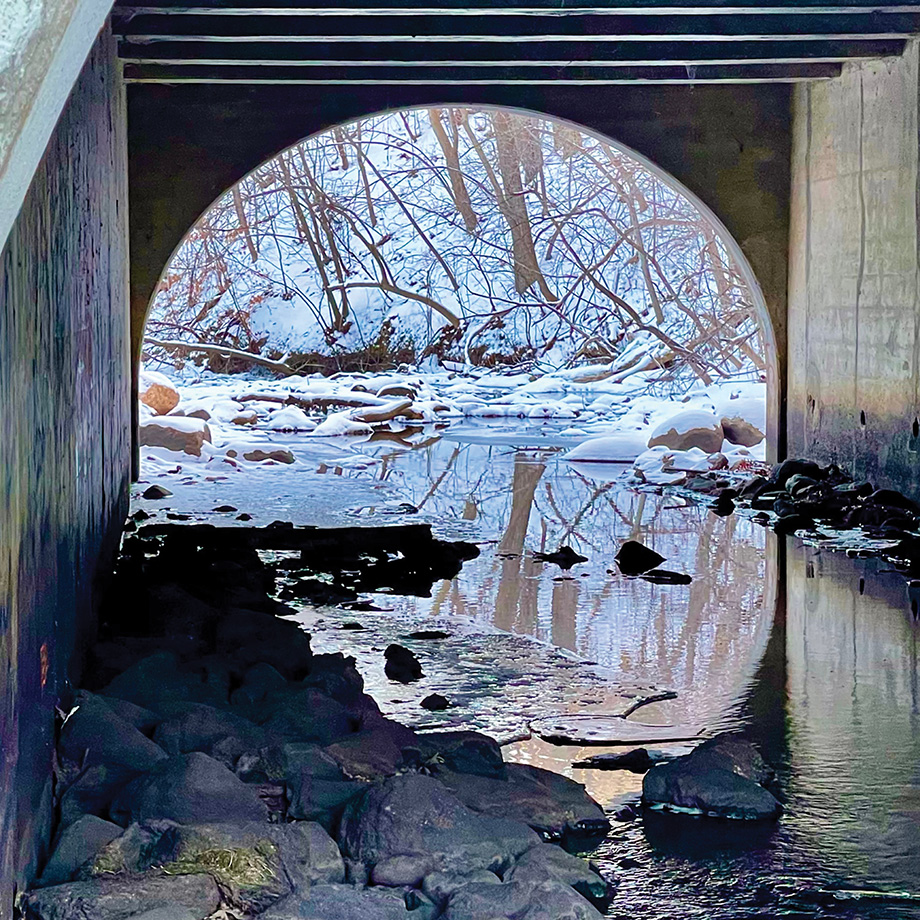 Reflections Under 50th Street | Edina Magazine