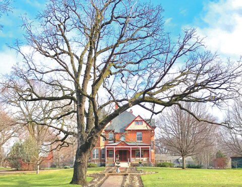 Images of Edina Photographer Captures Two City Landmarks | Edina Magazine