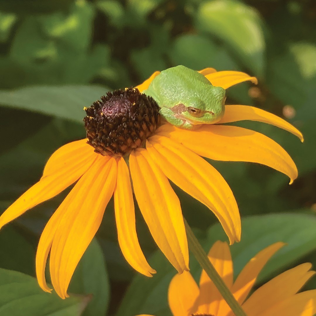 Former Minnesota Viking Ben Leber transitions to life after the NFL ...